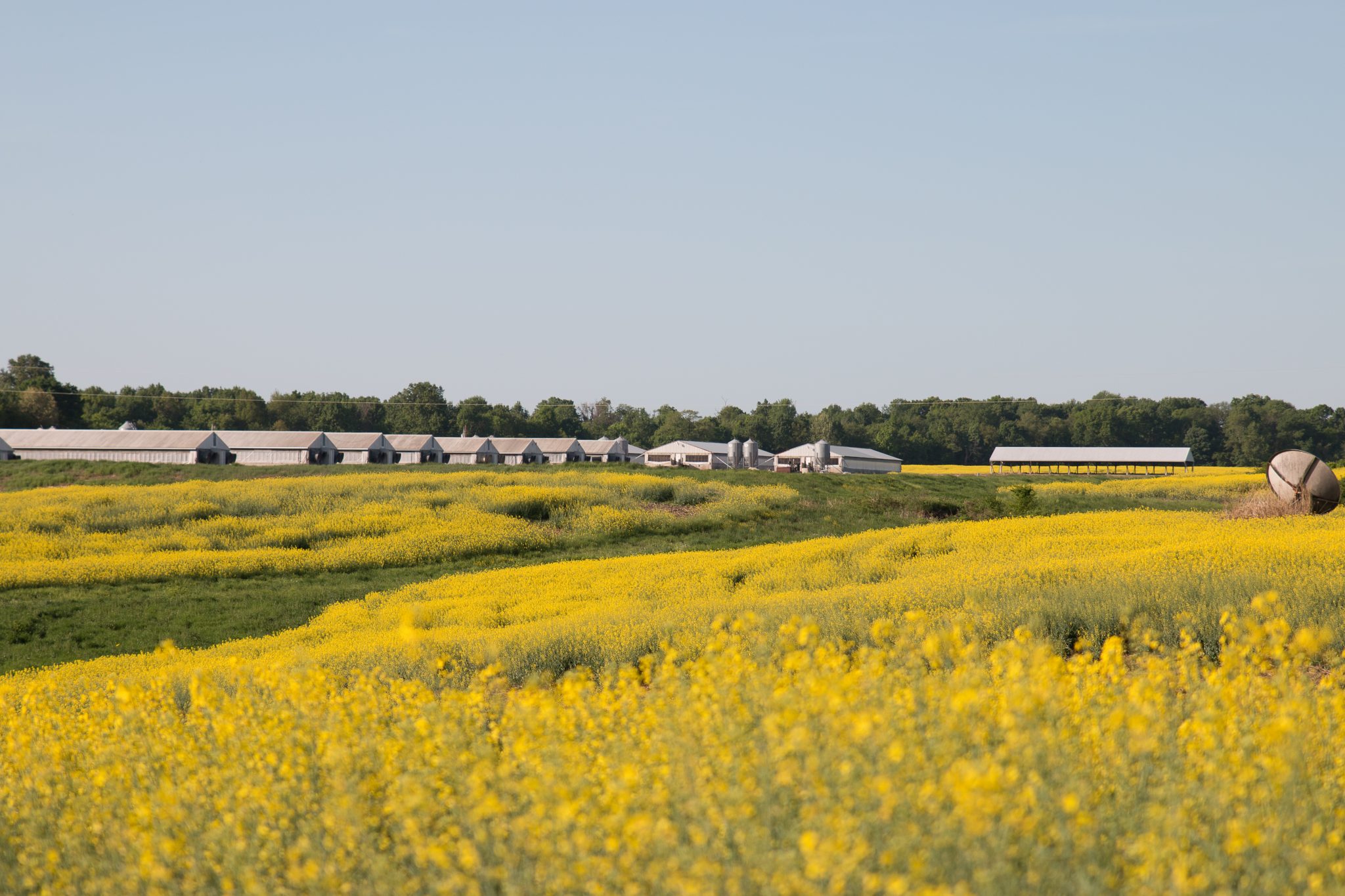 Everything Begins with Family at Tosh Farms